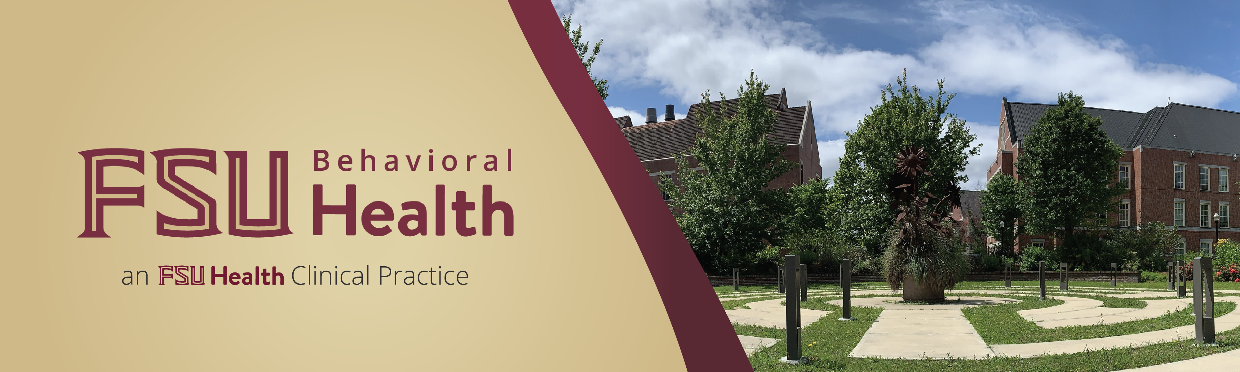 Services | FSU BehavioralHealth